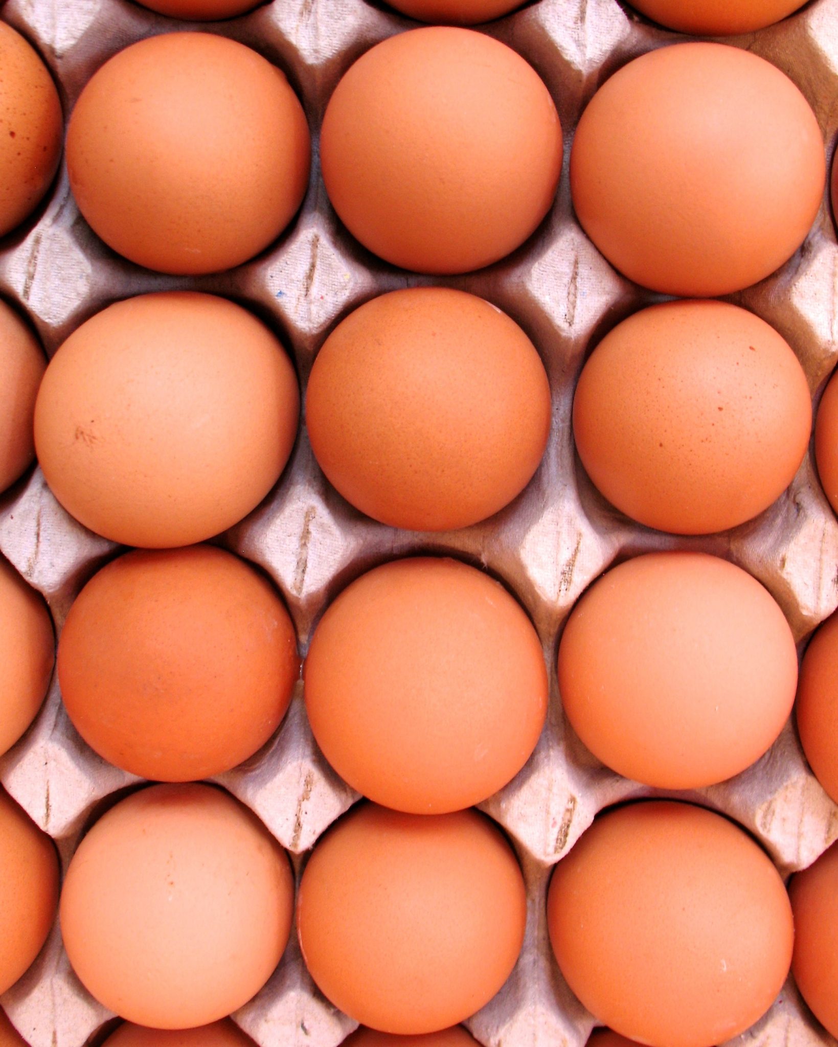 Eggs and Propylene Glycol - An Update - Default to Nature